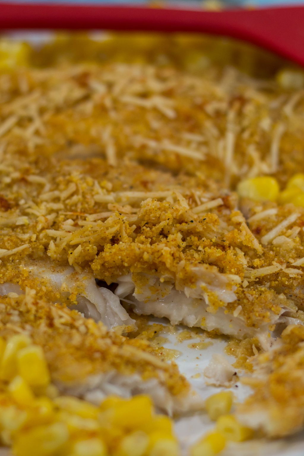 Quick Southwestern Crusted Fish Recipe - The Protein Chef
